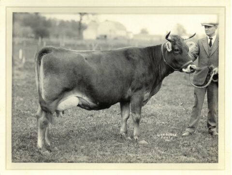 Our History | Galloway Company