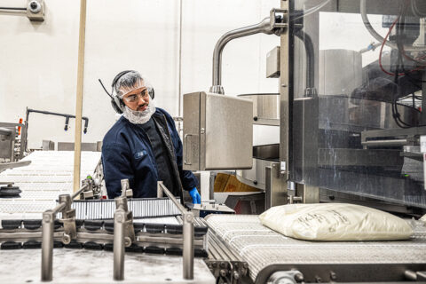 Frozen Dessert Mixes | Galloway Company